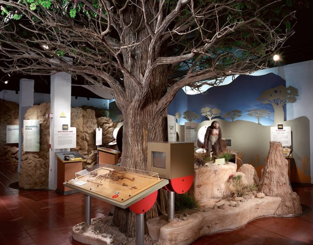 Custom Trade Show Exhibits & Booth Design Consultants - LAB Exhibits