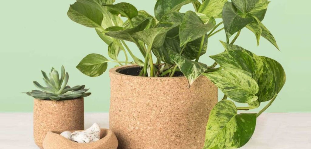 Seven Eco-Friendly Giveaways to Try at Your Next Trade Show